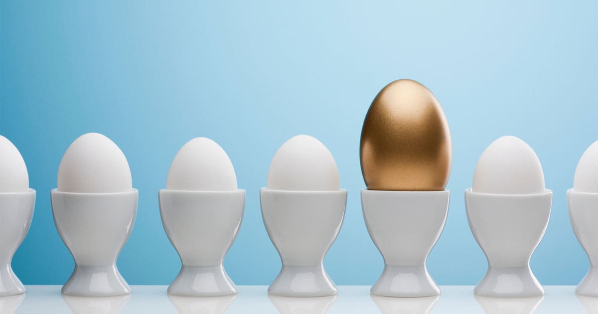 What Is an Asset? Types & Examples in Business Accounting | NetSuite