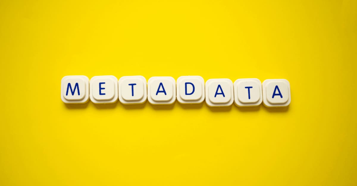 What Is Metadata Management? | NetSuite