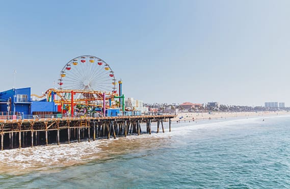 Executive Edge | NetSuite