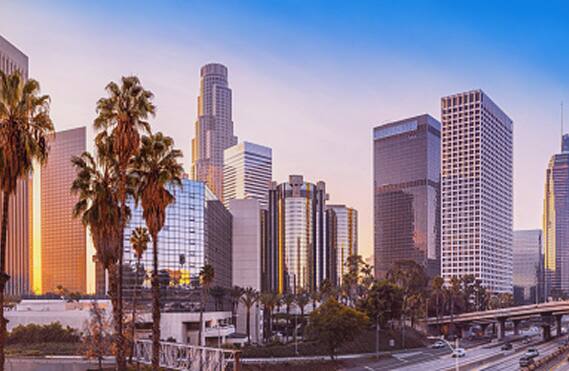 Executive Edge | NetSuite